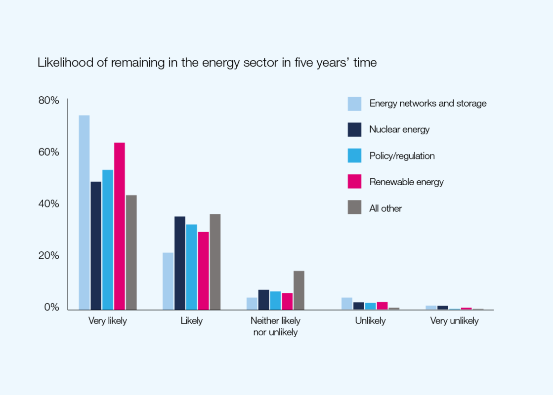 Meeting the Challenge: Attracting and retaining future energy leaders ...